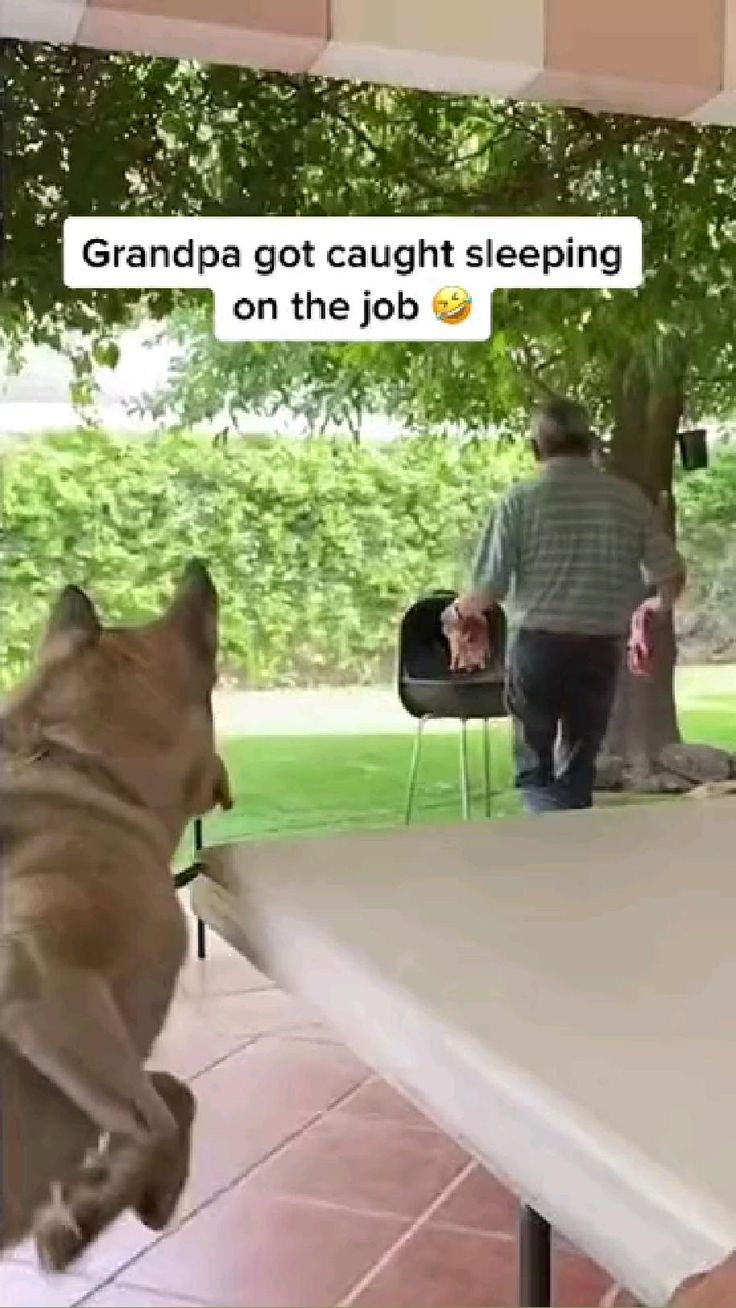 Pin By Delicious Memes On Pins By You Memes Job Got Caught