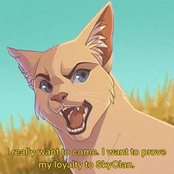 Pin Di Franziska S Su Warrior Cats Umorismo