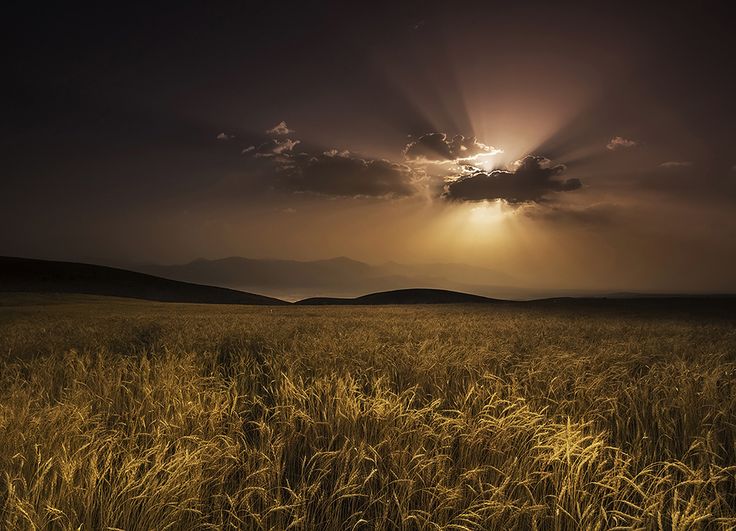 Grain Field Shahin Hemmati On Fstoppers Landscape Instagram Photo