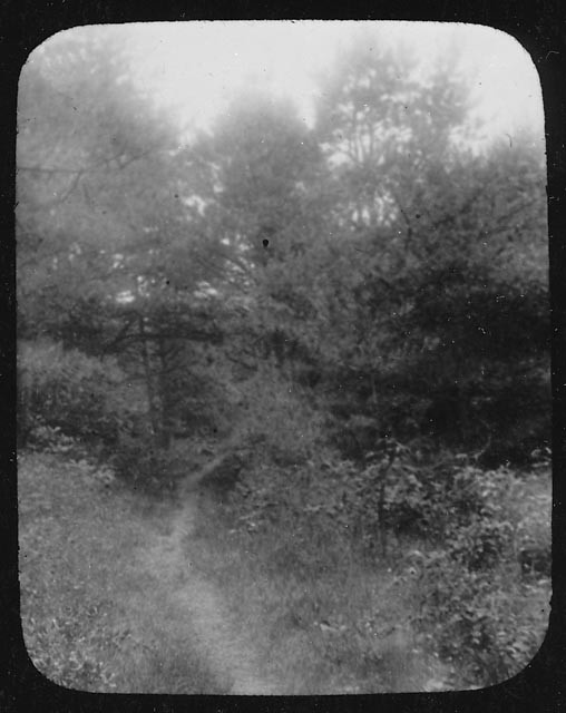 The Old Bay Path Old Bay Old Things Paths