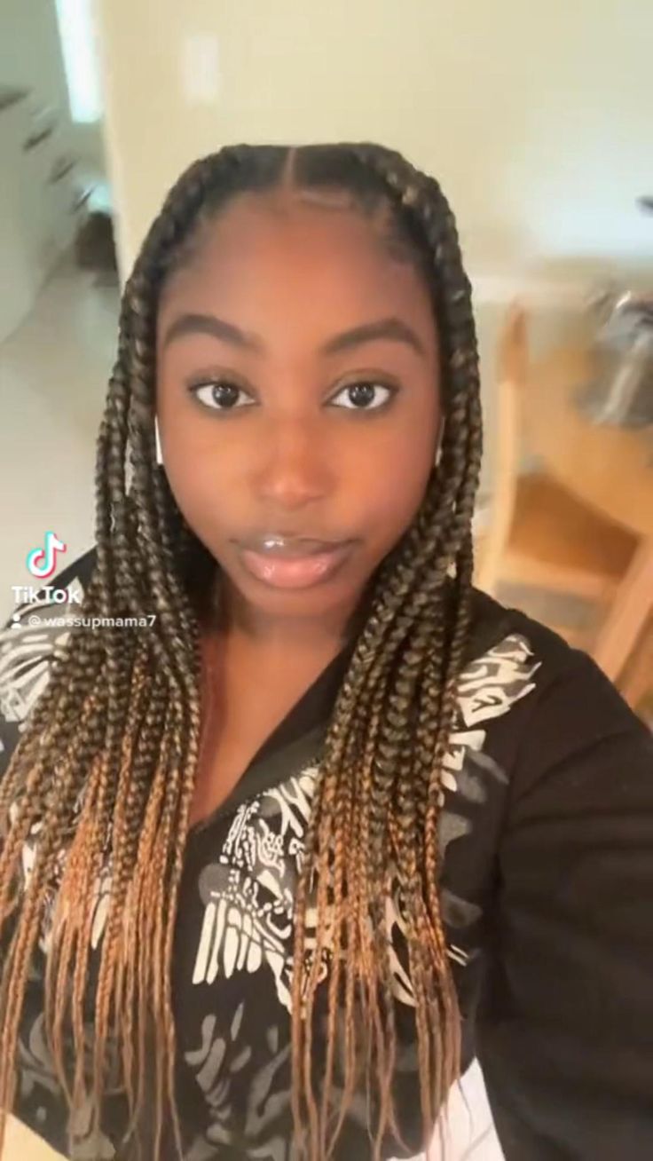 Braids Inspo Knotless Braids Braid Inspo For Black Girls Long Braids Ombre Hair African
