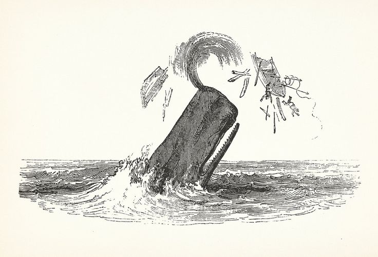 Free Illustration Images, Animal Illustrations, Vintage Illustrations ... Free Illustration Images, Animal Illustrations, Vintage Illustrations ...