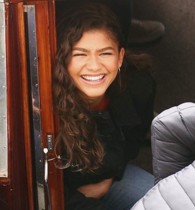 Pin Di Lz 2022 Su Zendaya