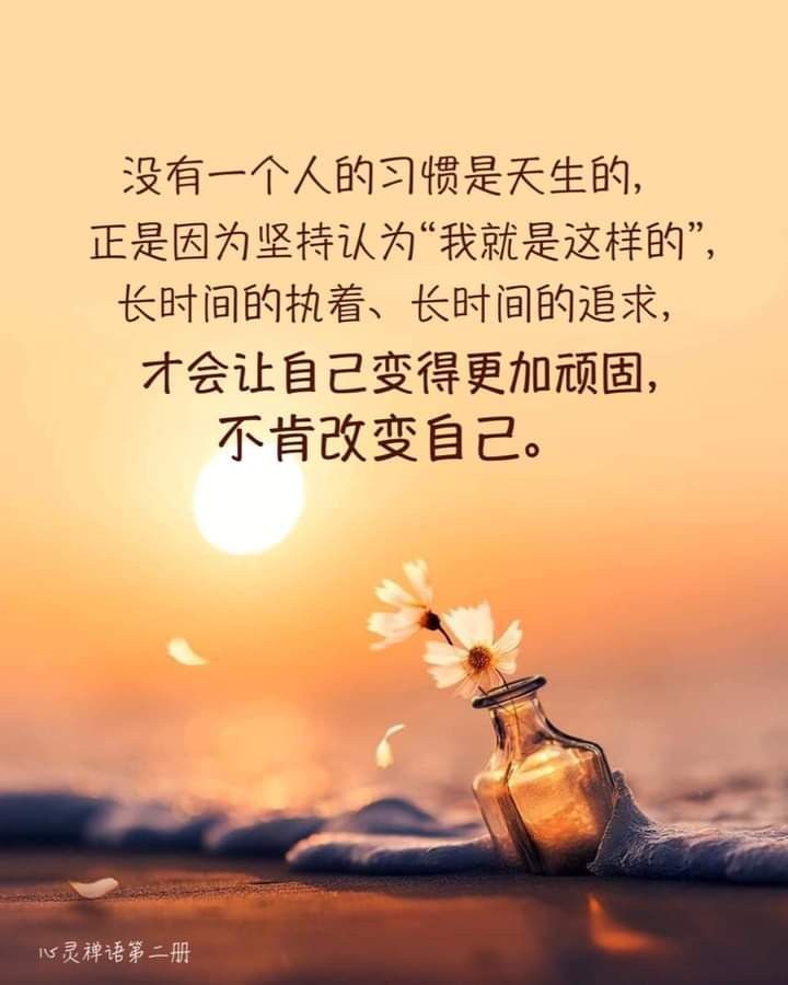 任何的人要改变自己坏习惯,首先要认识自己的坏习惯, 然后念心经,求观世音菩萨给他更多的加持来改变。 Wenda20190726 Movie Posters Movies Poster
