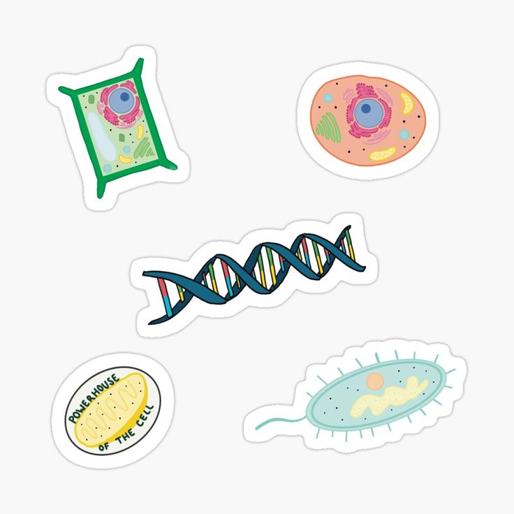Biology Sticker Pack Sticker By Roses Stickers Coloring Stickers Notebook Stickers Science
