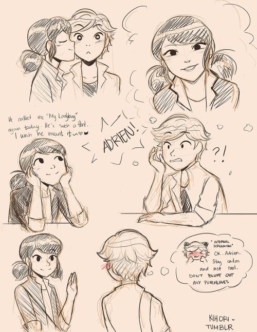 Marinette X Adrien Rules Miraculous Ladybug Comic Miraculous