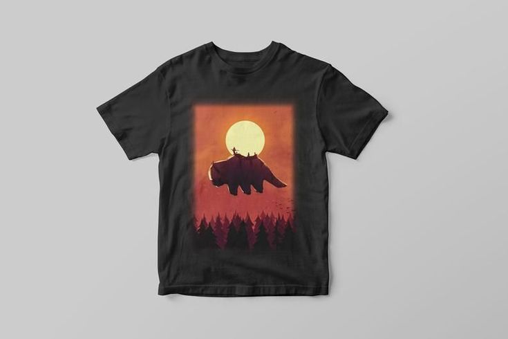 Avatar The Last Airbender Aang And Appas Journey Shirt This Heavy Cotton Tee Has The Classic