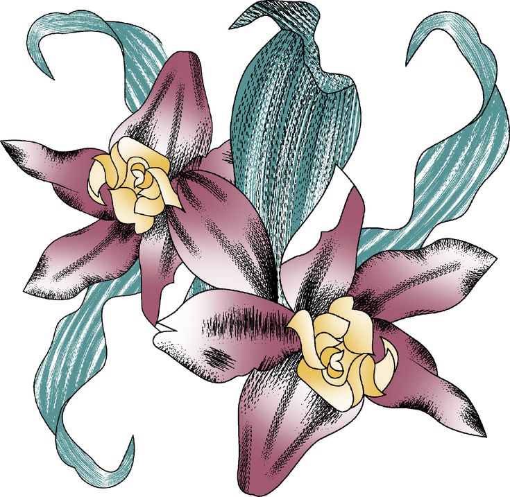 Botanical Flower Art Tutorial