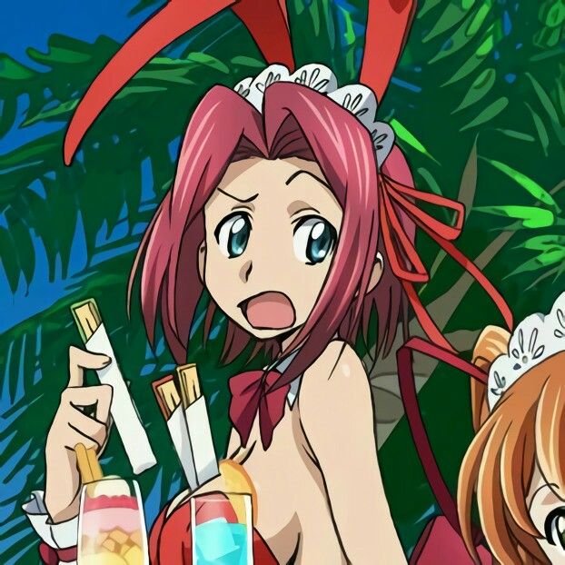 Pin De Ваше Высочество En Kallen Kozuki Code Geass Dibujos Sensuales Personajes De Anime