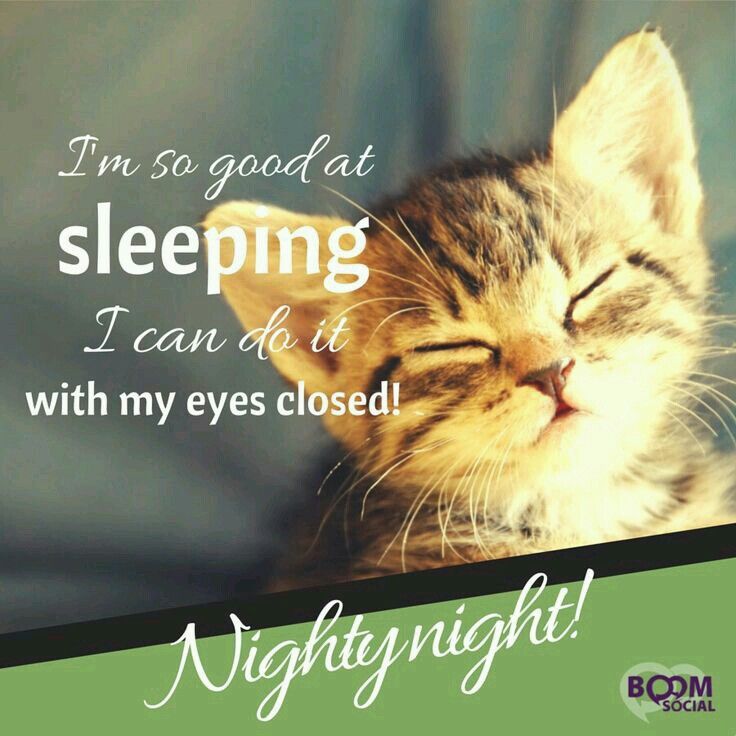 21 Best Good Night Images On Pinterest Good Night Goeie Nag And Nighty Night