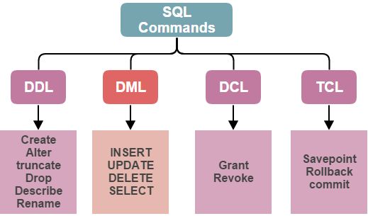 Sql Commands And Data Types Sql Basics Dbms Tutorial