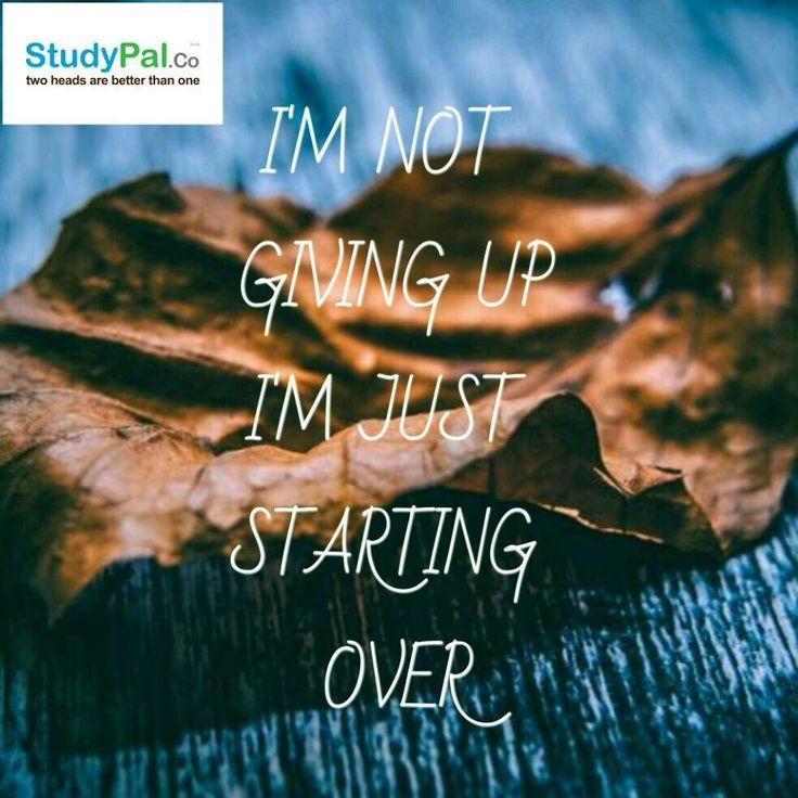 Im Not Giving Up Im Just Starting Over