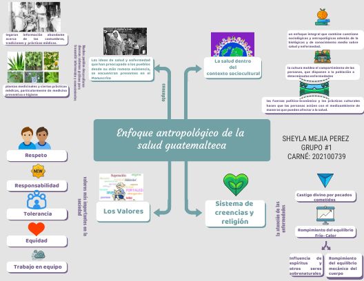 Light Biodiversity Biology Concept Map Light Biodiversity Biology Concept Map