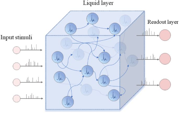 Adaptive Structure Evolution And Biologically Plausible Synaptic Plasticity For Recurrent