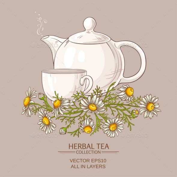 Chamomile Tea Illustration Tea Illustration Tea Pot Illustration