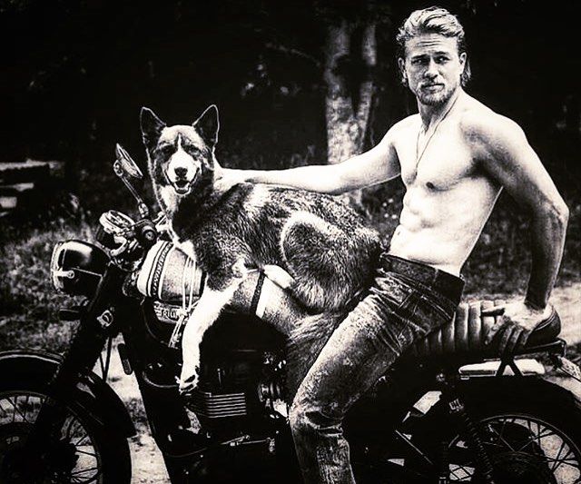Vaaaaa Bene Ragazze Regalo Per Noi 😎 Buonaserata 🤫 Charlie Hunnam Sons Of Anarchy Charlie