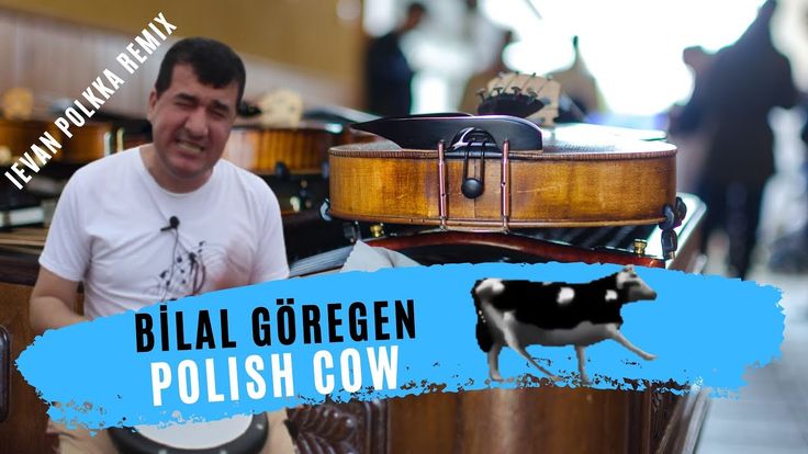 Bilal GÖregen Made Levan Polkka Remix With His Mouth Levan Polkka Remix Polish Cow Meme Now