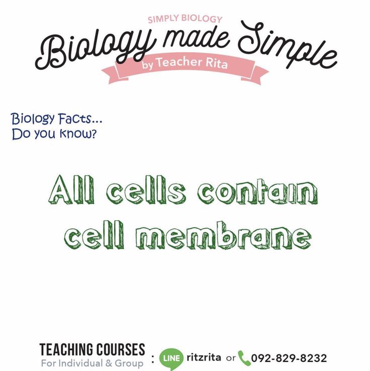 All Cells Contain Cell Membrane Simplybiology Satbio Cell Membrane Biology Facts Biology