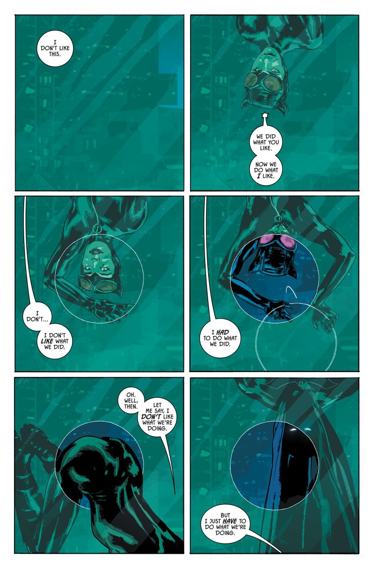 Pin By Applesauces On Everything Catwoman Comic Catwoman Gotham Batman