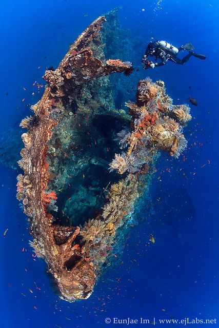 Tulamben Wreck Scuba Diving Best Scuba Diving Diving