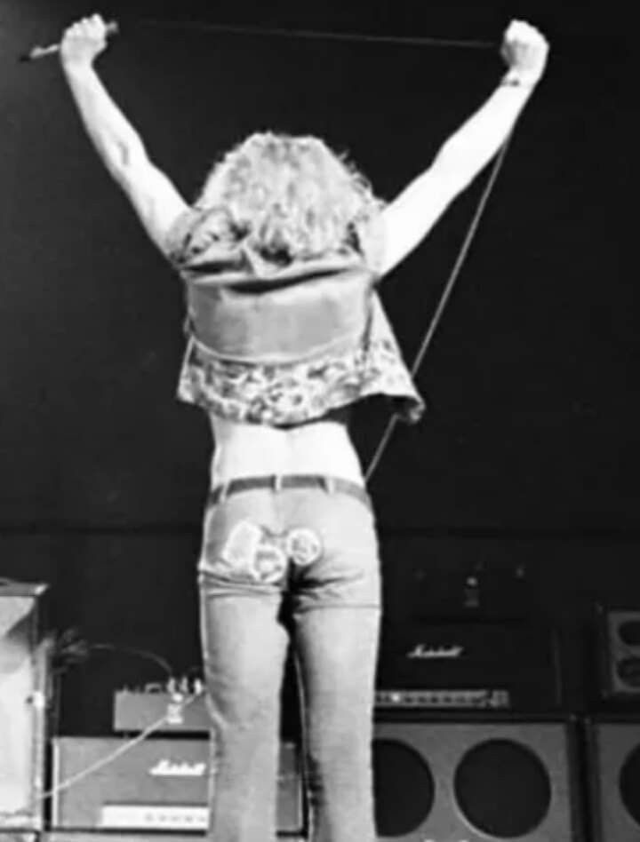 Pin On Gorgeous Robert Plant