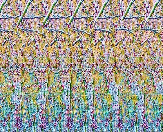 Пин от пользователя Lisa Jo на доске Magic Eye Illusions Stereograms 3ds в 2024 г