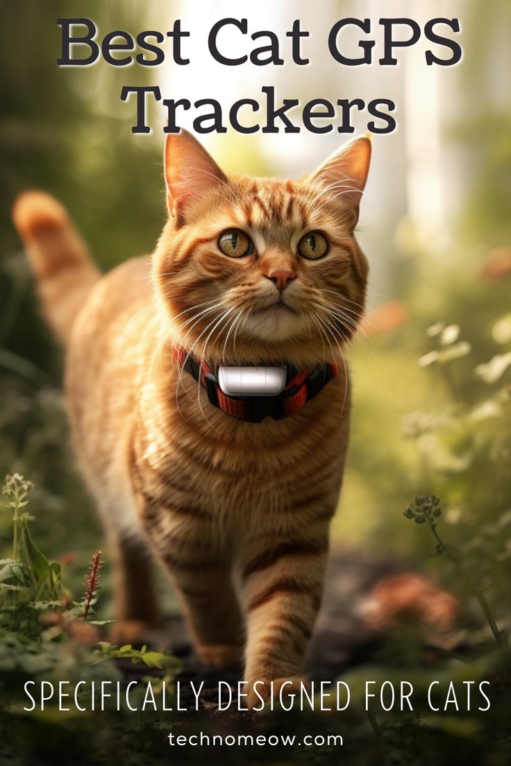 Best Cat GPS Trackers Specifically Designed for Cats