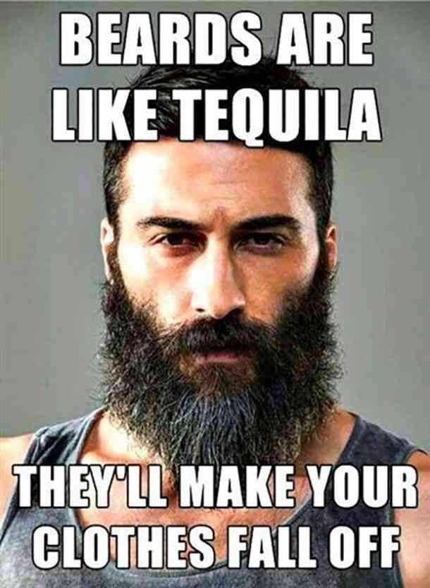 40 Funny Beard Memes And Hottest Celebrity Beards To Celebrate National Beard Day Beard Humor