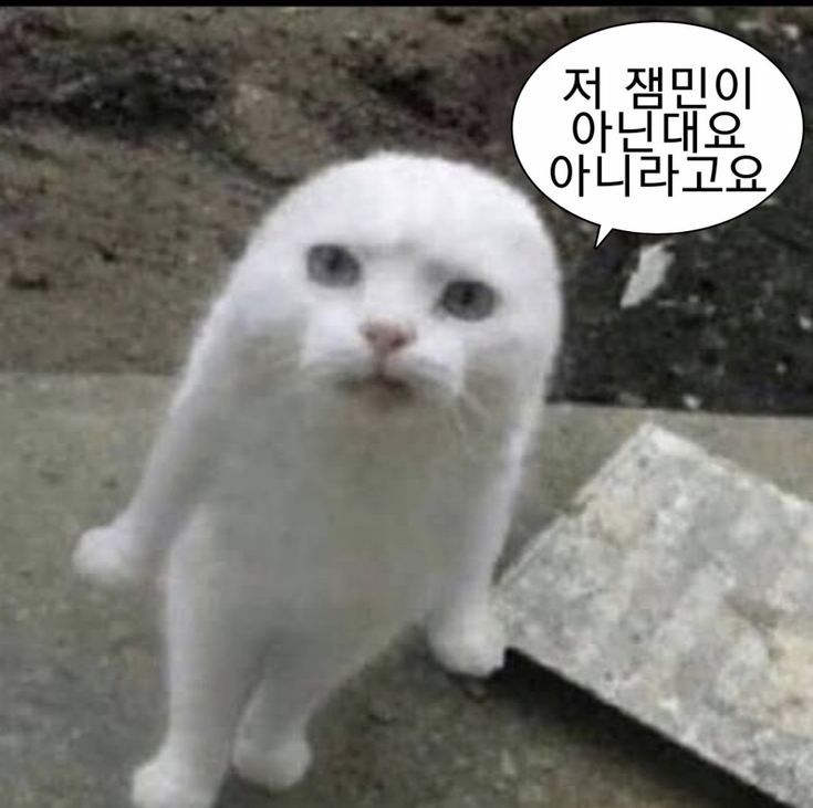 Pin Op 빠른 저장