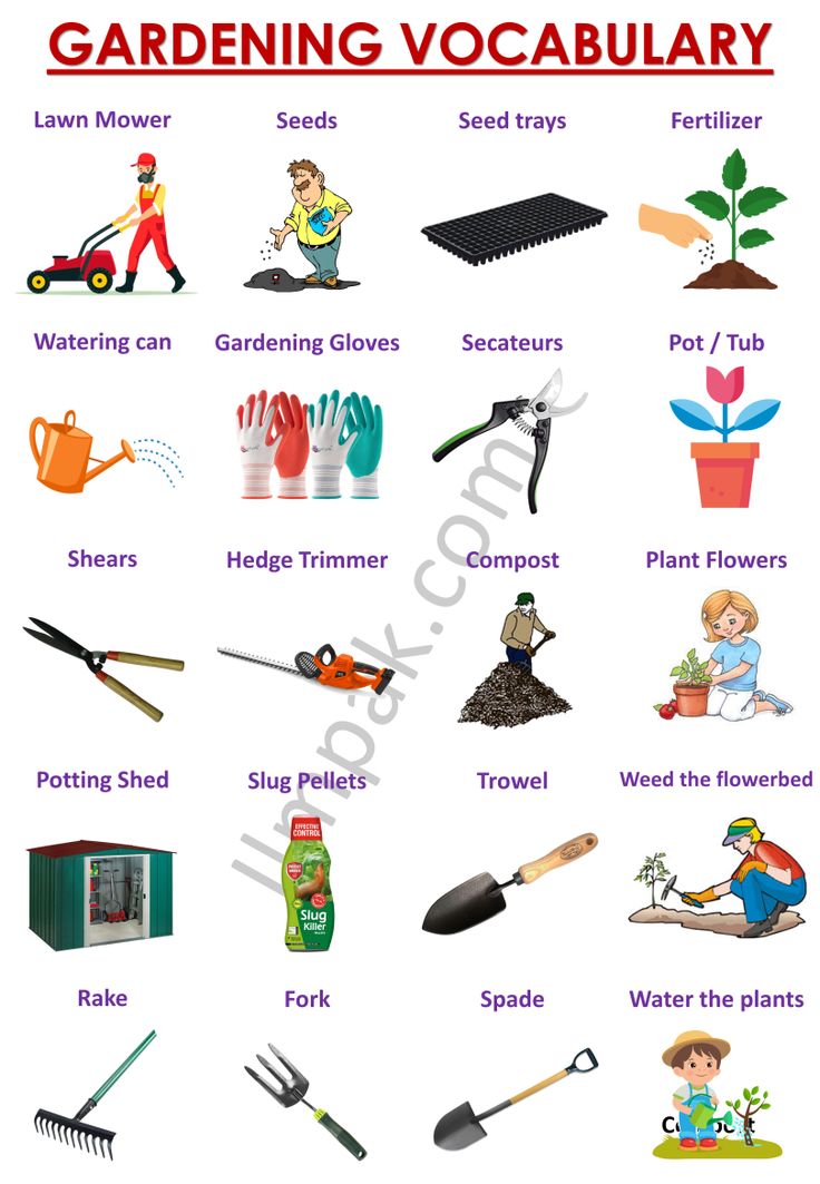 ilmPak | Helping You Learn | Basic english grammar book, English ... ilmPak | Helping You Learn | Basic english grammar book, English ...