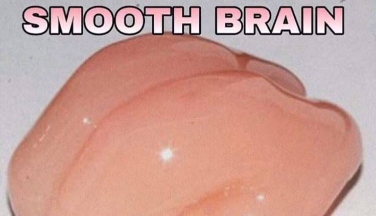 Pin By Llana On Ahaha Brain Meme Really Funny Pictures Funny Reaction Pictures