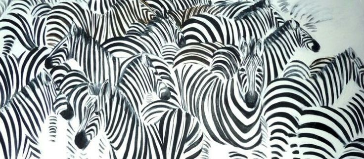 A Group Of Zebras That Are Standing In The Grass