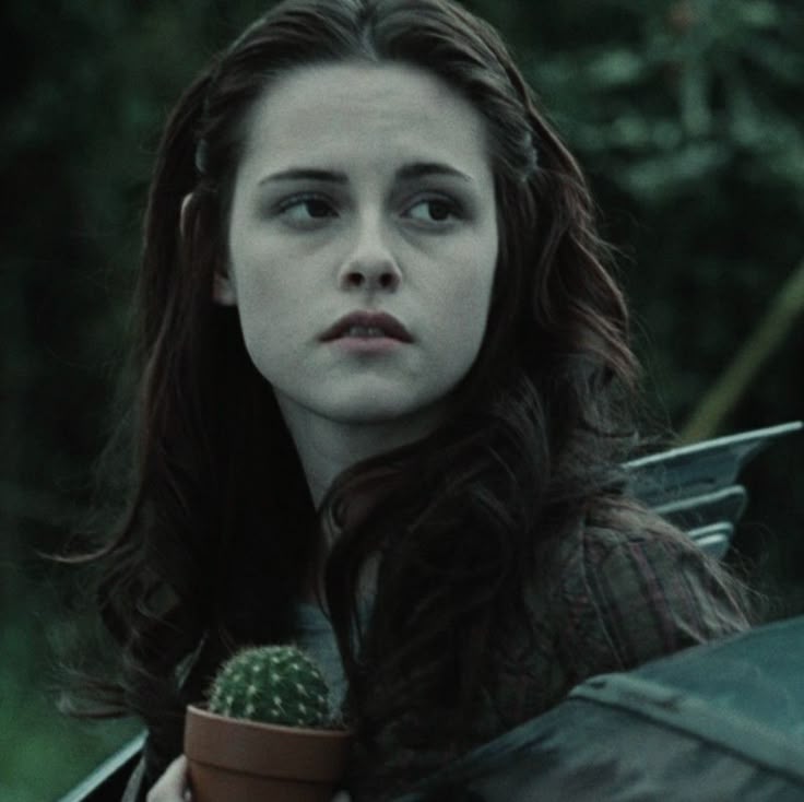 Bella Swan Twilight Saga Bella Swan Kristen Stewart Twilight