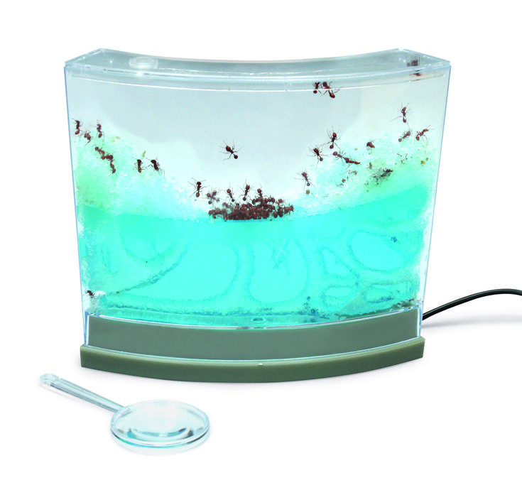 Gel Ant Farm with LED Base | Ant farms, Ants, Gel Gel Ant Farm with LED Base | Ant farms, Ants, Gel