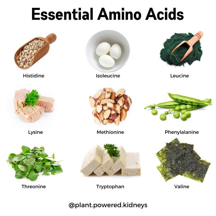 Essential Amino Acids The Building Blocks Of Protein