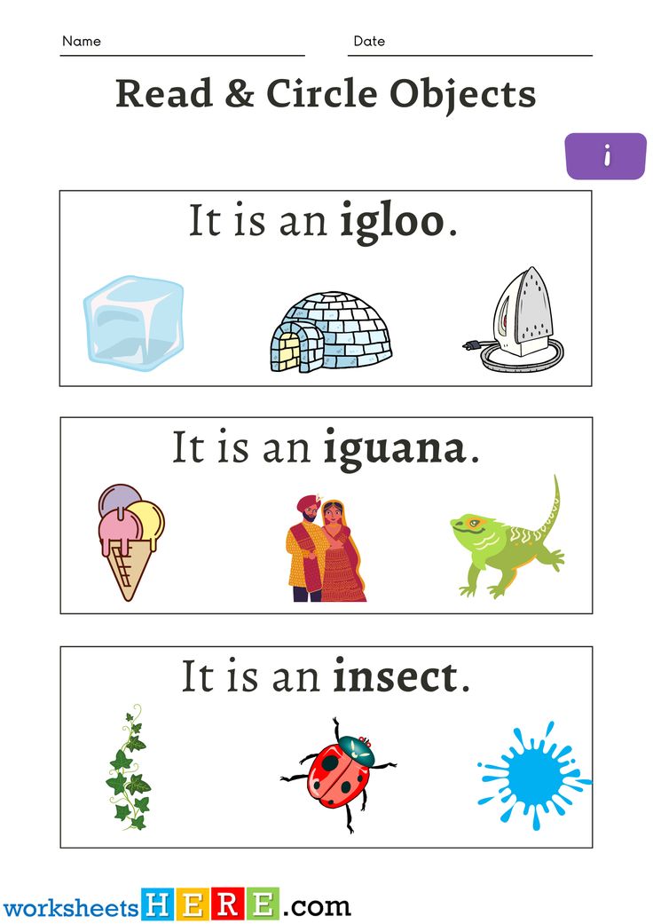 Read Sentences and Circle Objects Starting Letter i Activity Worksheets ... Read Sentences and Circle Objects Starting Letter i Activity Worksheets ...