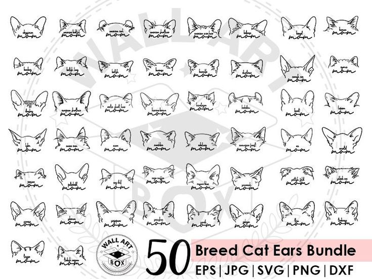Cat Ears Outline Svg Png Bundle 50 Cat Mom Breeds Kitten Svg Line Drawing Compatible With