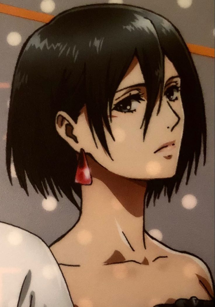 Mikasa Official Art