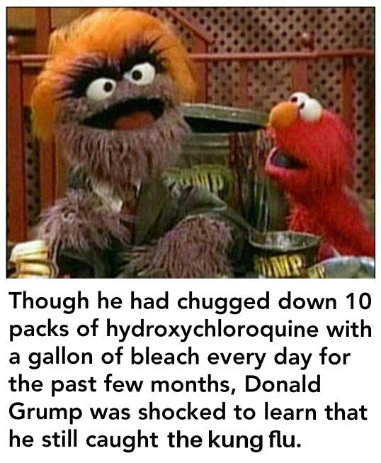 Stupid Funny Memes Funny Texts Funny Stuff Best Memes Dankest Memes Sesame Street Memes