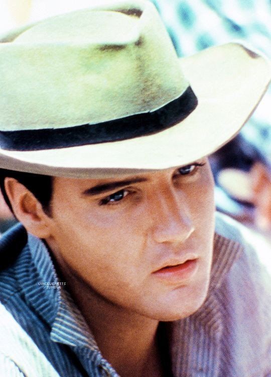 Elvis Presley: A Captivating Journey Elvis Presley: A Captivating Journey