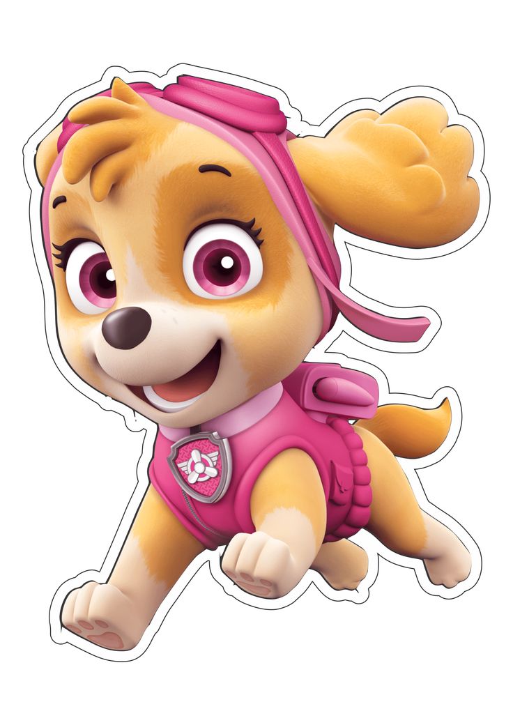 Patrulha Canina Paw Patrol Skye Png Decoração Infantil Patrulha Canina Decorações Da Patrulha