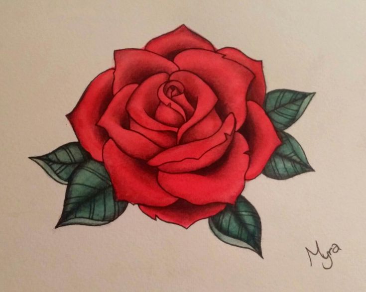 A Drawing Of A Red Rose With Green Leaves