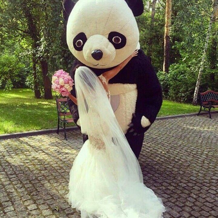 Pin By نازیہ صدیقی On Teddy Love Cute Teddy Bears Teddy Cute