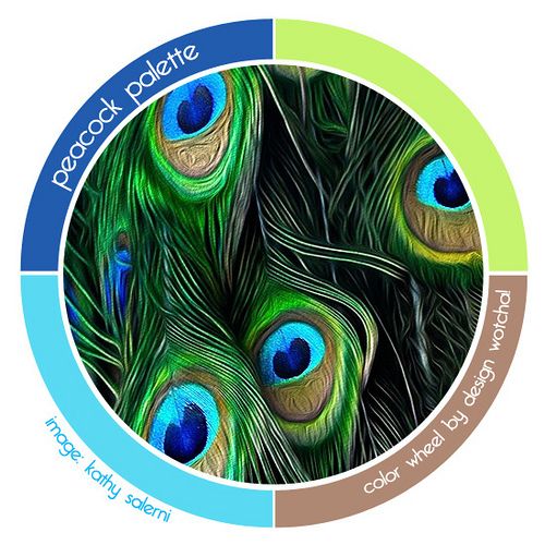 Peacock Palette Color Palette Blue Color Schemes Peacock Color Scheme