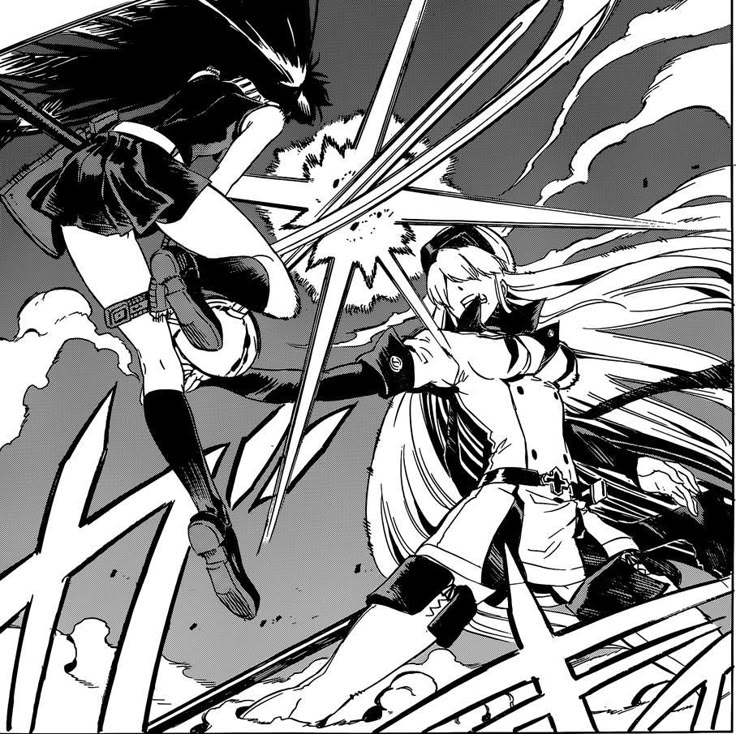 Akamemanga Akame Ga Kill Wiki Fandom Akame Ga Kill Akame Ga Anime Cover Photo