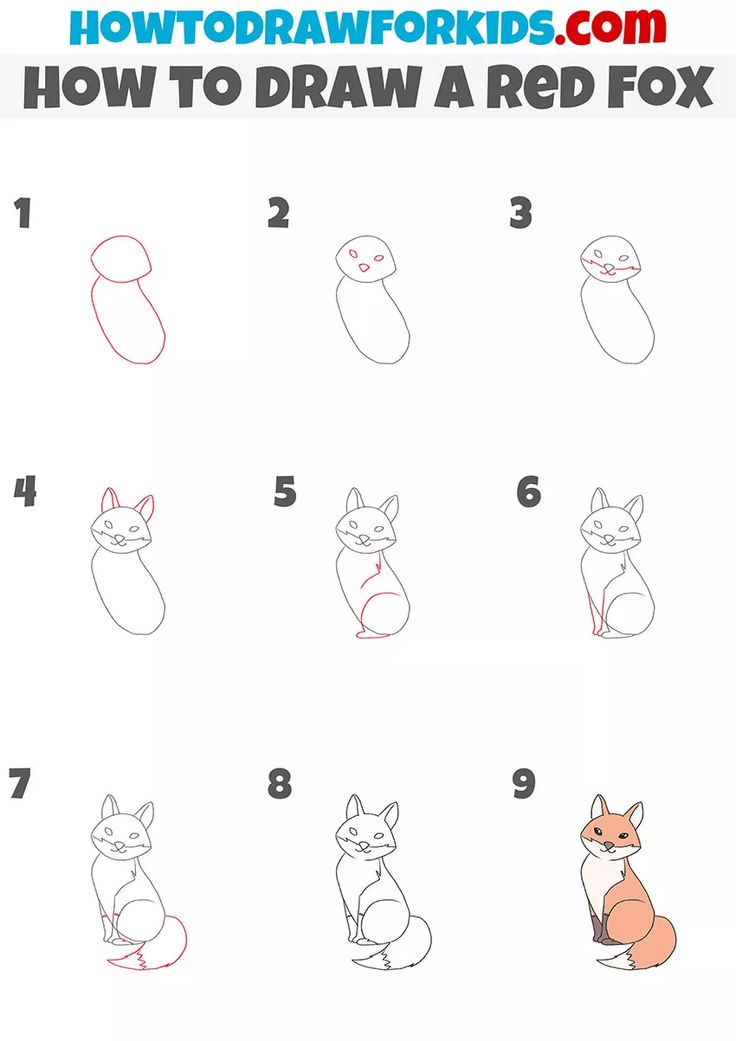 How To Draw A Red Fox Step By Step Tutorial