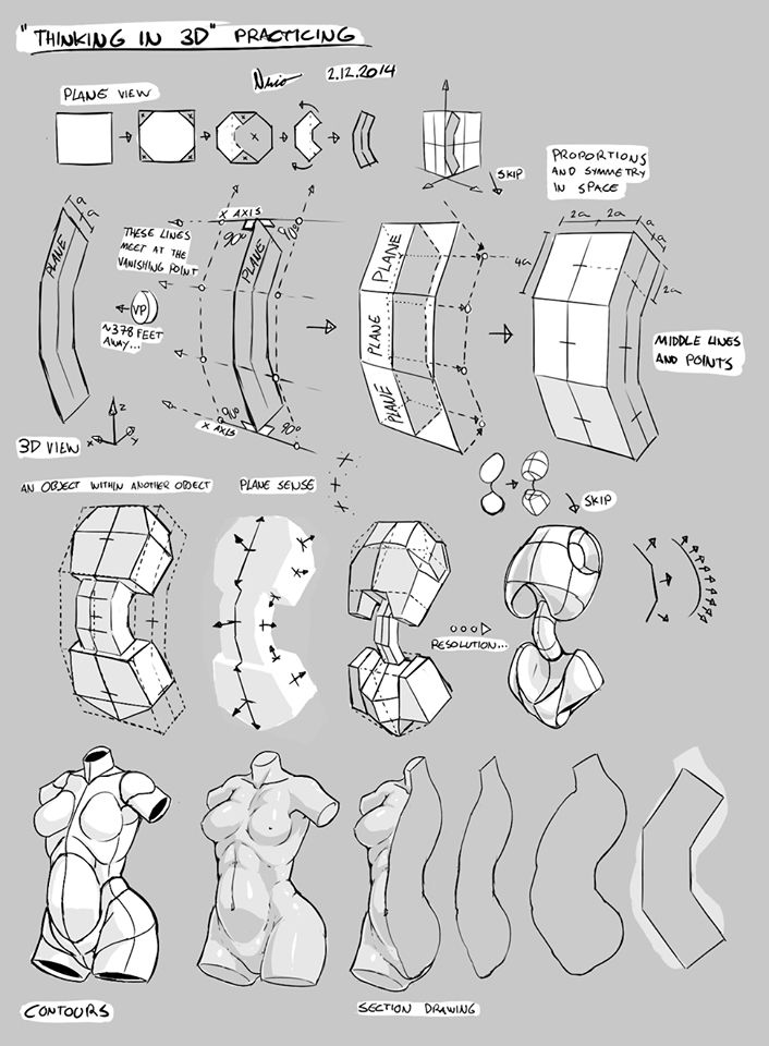 Troubled By Torsos Say No More 3d Torso Tutorial Nsio Concept