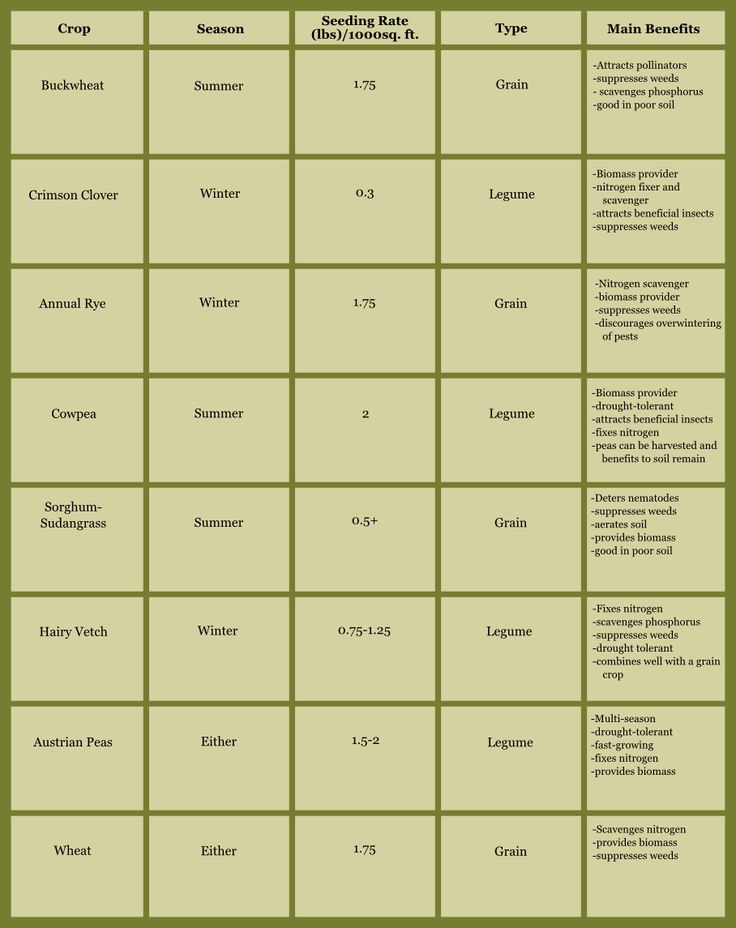 Cover Cropping Basics | Natural fertilizer, Soil microorganisms, Poor soil Cover Cropping Basics | Natural fertilizer, Soil microorganisms, Poor soil