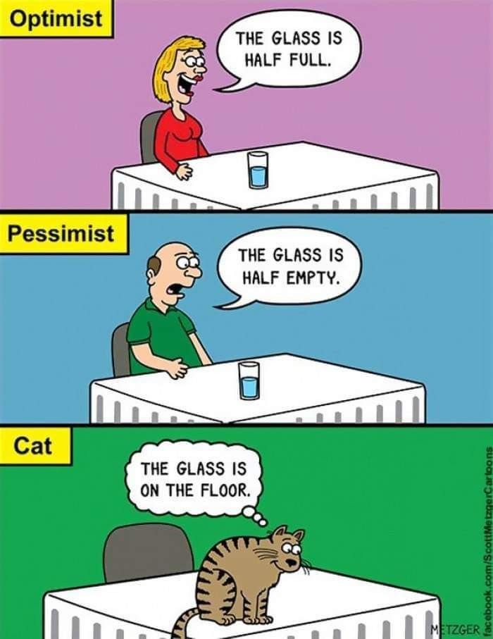 Pin By Rita Wallin On Kissahuumori In 2024 Cat Jokes Cat Comics