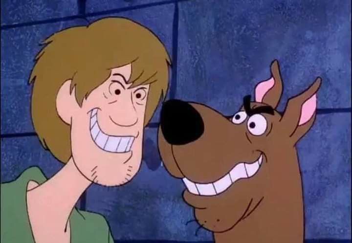 Pin By Dumary 21 On Shaggy Shaggy And Scooby Scooby Doo Images Scooby Doo Mystery Incorporated